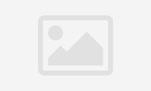 Introduction to Teaching Multilingual Learners – MLRC School Network