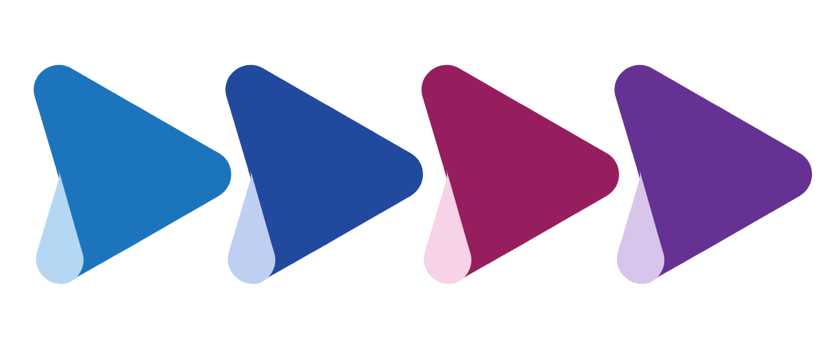 Guided Review – MLRC School Network